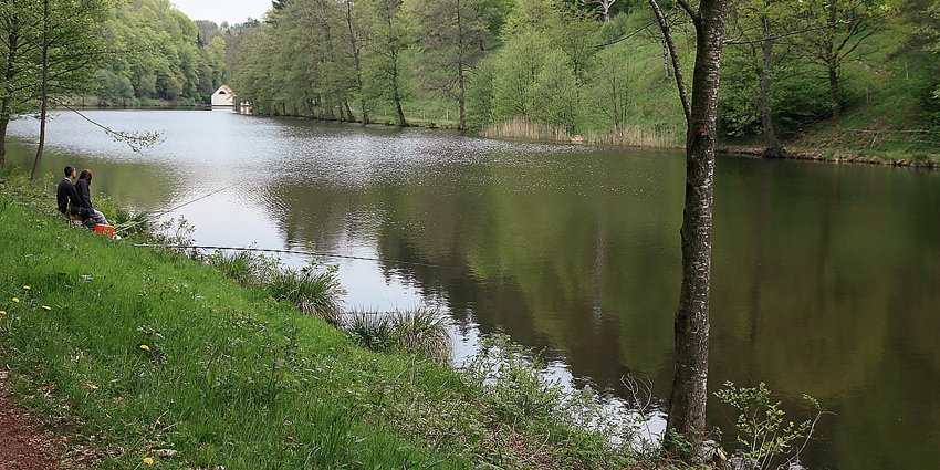 Tieffenbach - Galerie